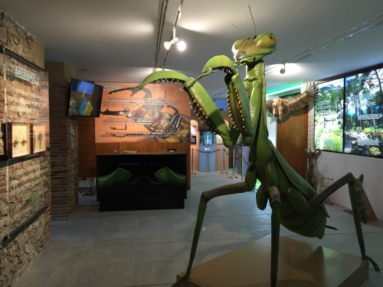 Centro de Naturaleza Insectpark