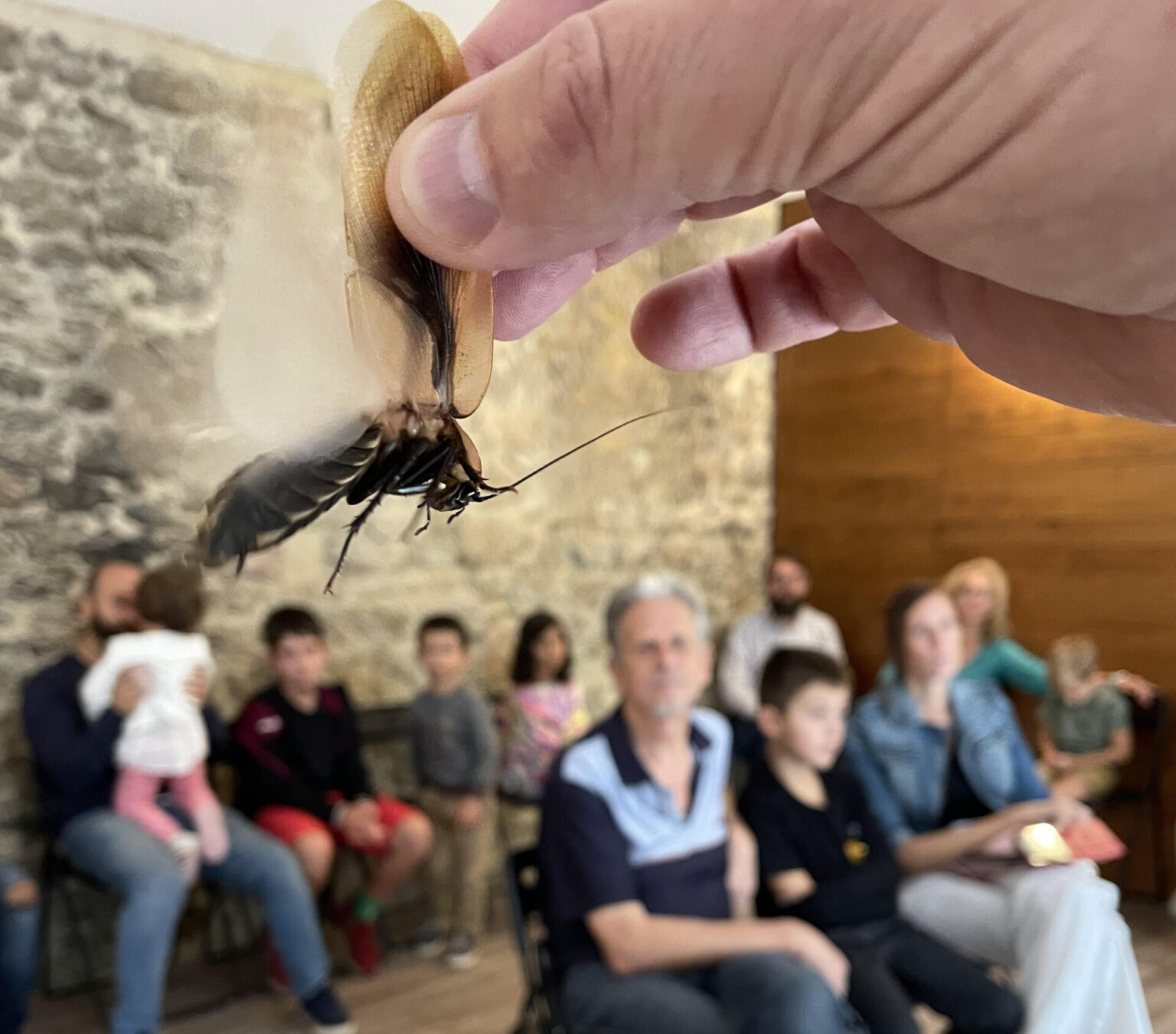 Noviembre | Mira y siente los insectos | Centro de Naturaleza Insectpark